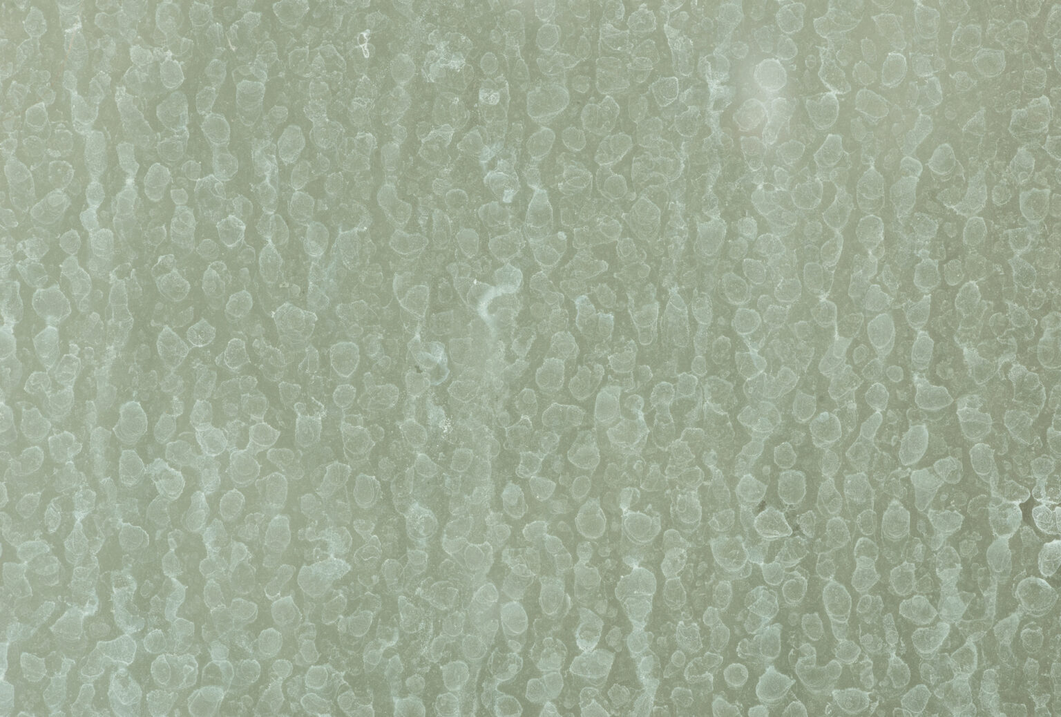 Hard Water Stains On Windows: Causes, Prevention, And Removal Tips | G ...